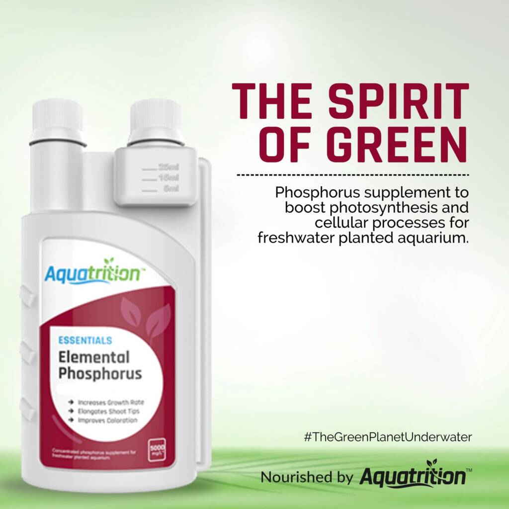 Premium Planted Aquarium Fertilizers for live aquatic plants