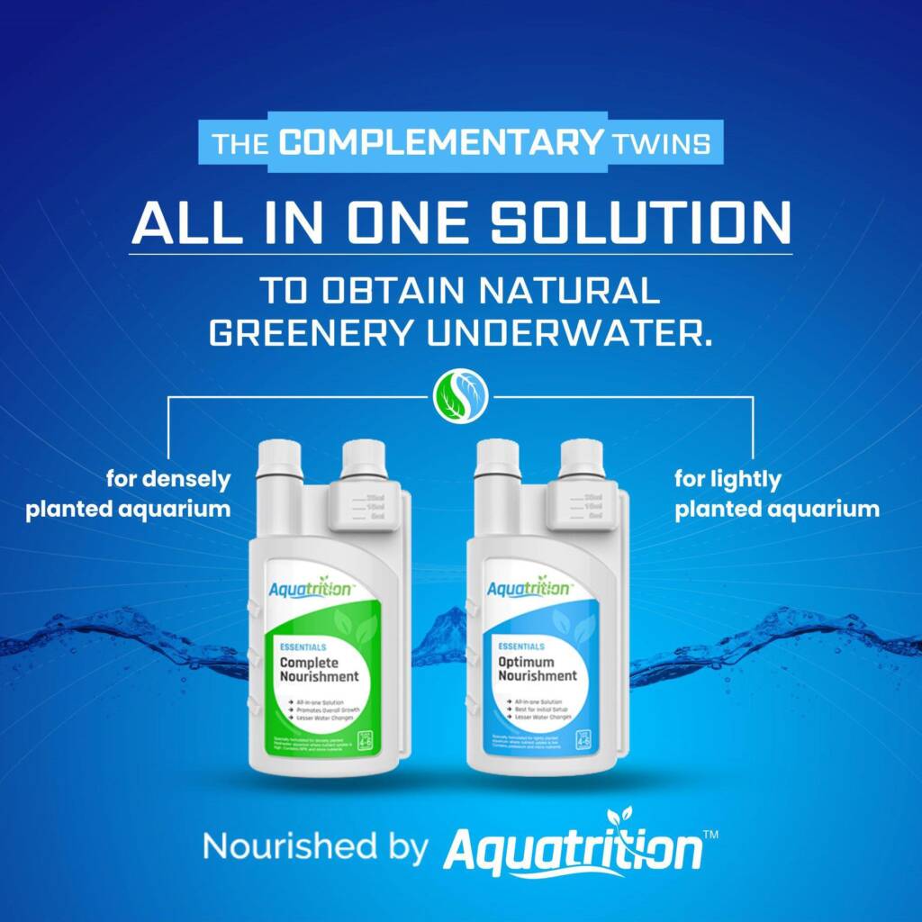 Bestselling Fertilizer for Water Plants: Unleashing their potential