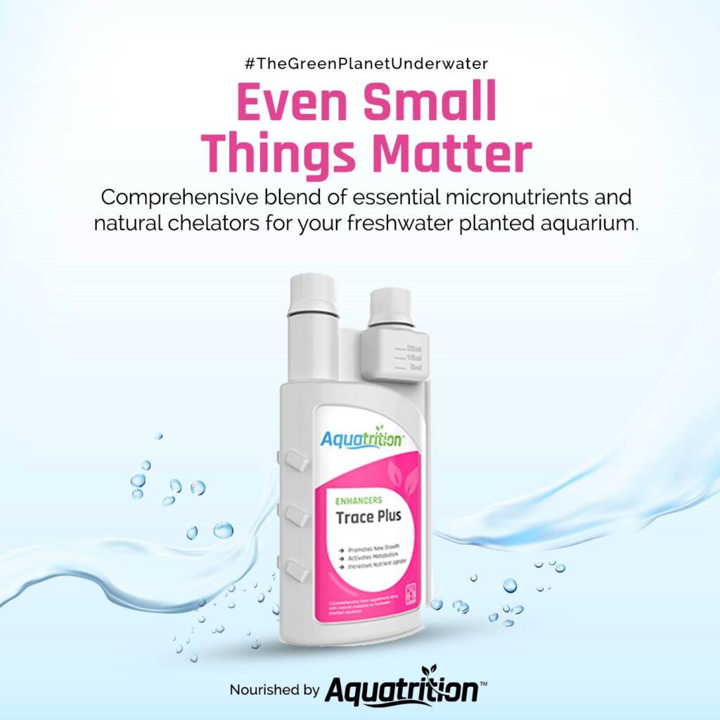 Aquatrition Trace Plus | Essential Micronutrient Aquarium Fertilizer