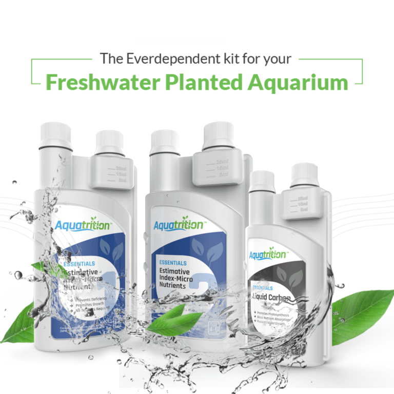Premium Planted Aquarium Fertilizers for live aquatic plants